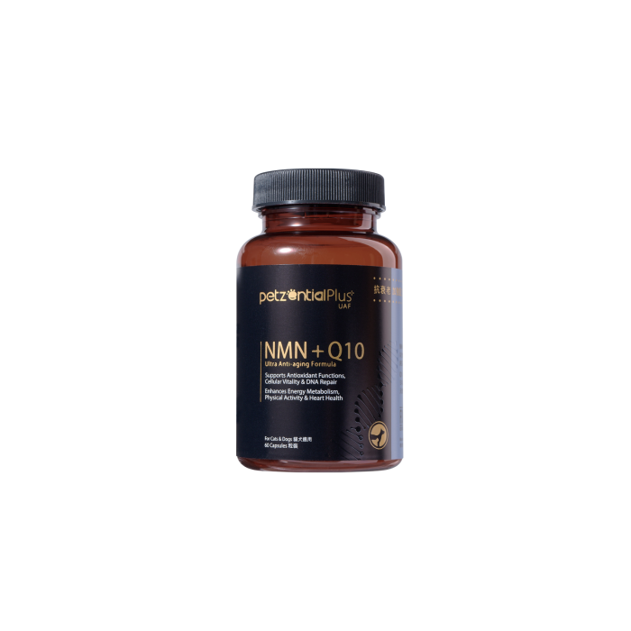 PetzentialPlus UAF NMN + Q10 60 Capsules | Dog NMN | ESDlife健康網購